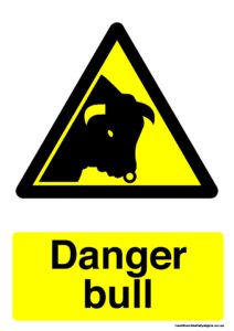 Danger bull warning sign - Health and Safety Signs